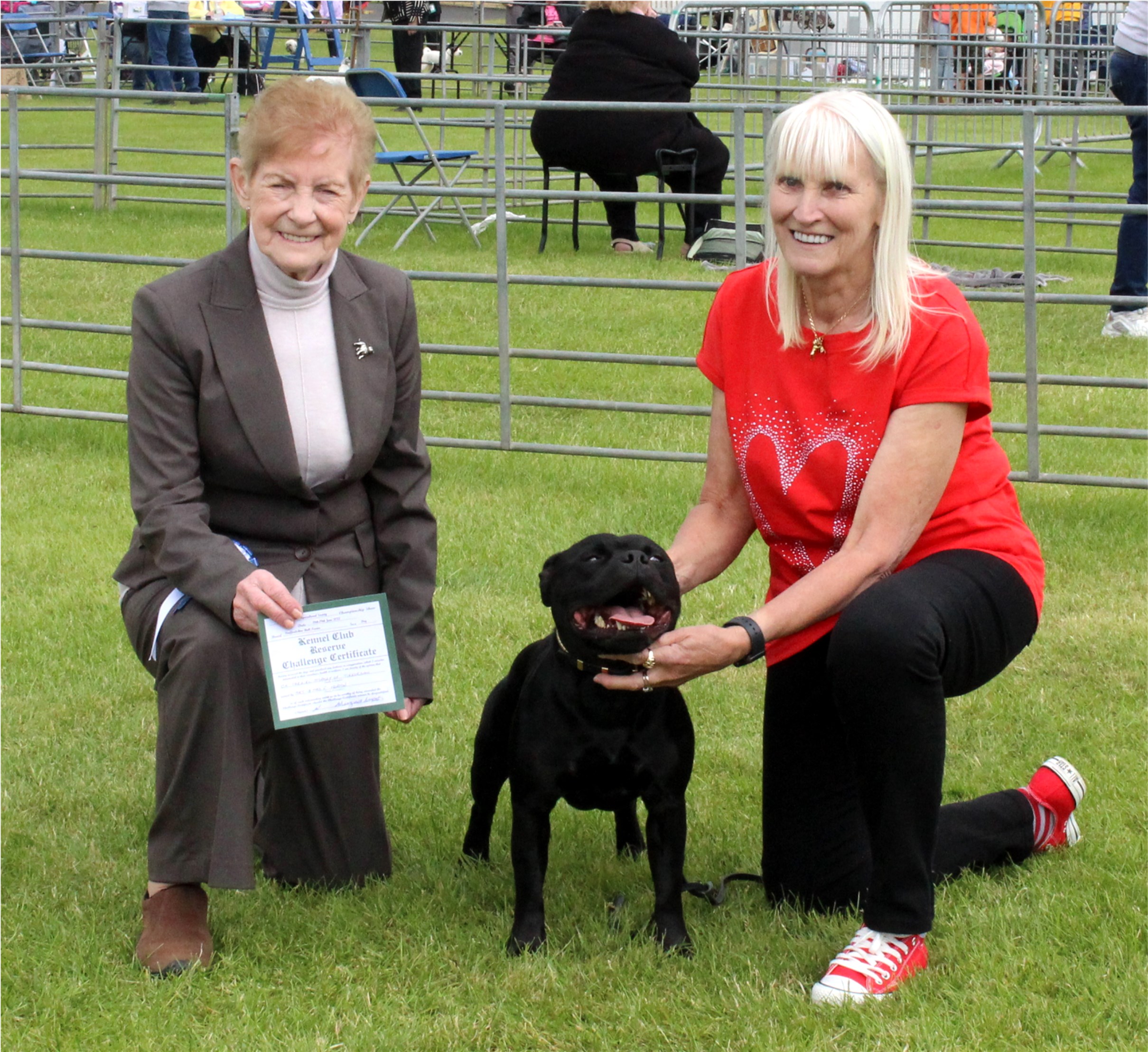 Ch Taraiel Stormzy at Tikkurilan (Stormzy) – Tikkurilan Staffords