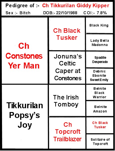 Ch Tikkurilan Giddy Kipper (Kipper) 1988 to 2004 – Tikkurilan Staffords